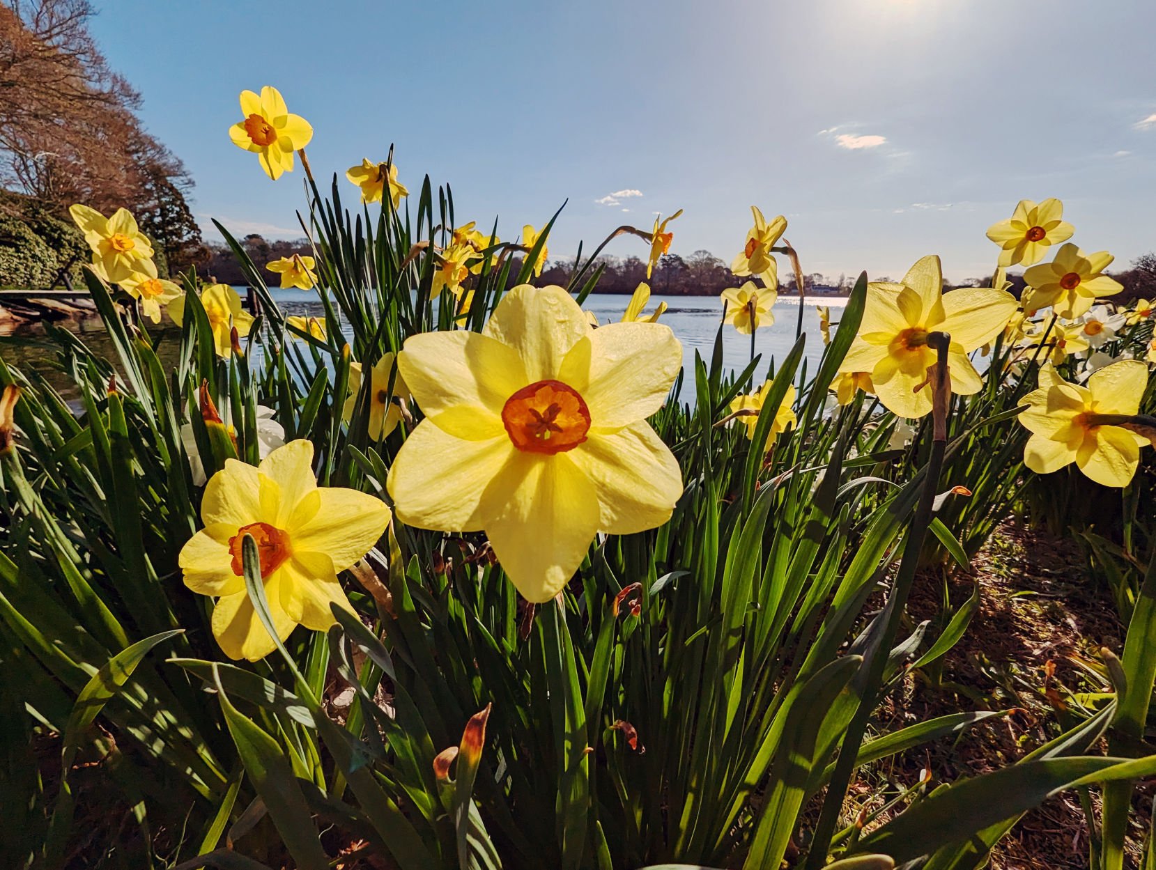 Years Of Springtime Magic: Spohr Garden - OnCape Magazine